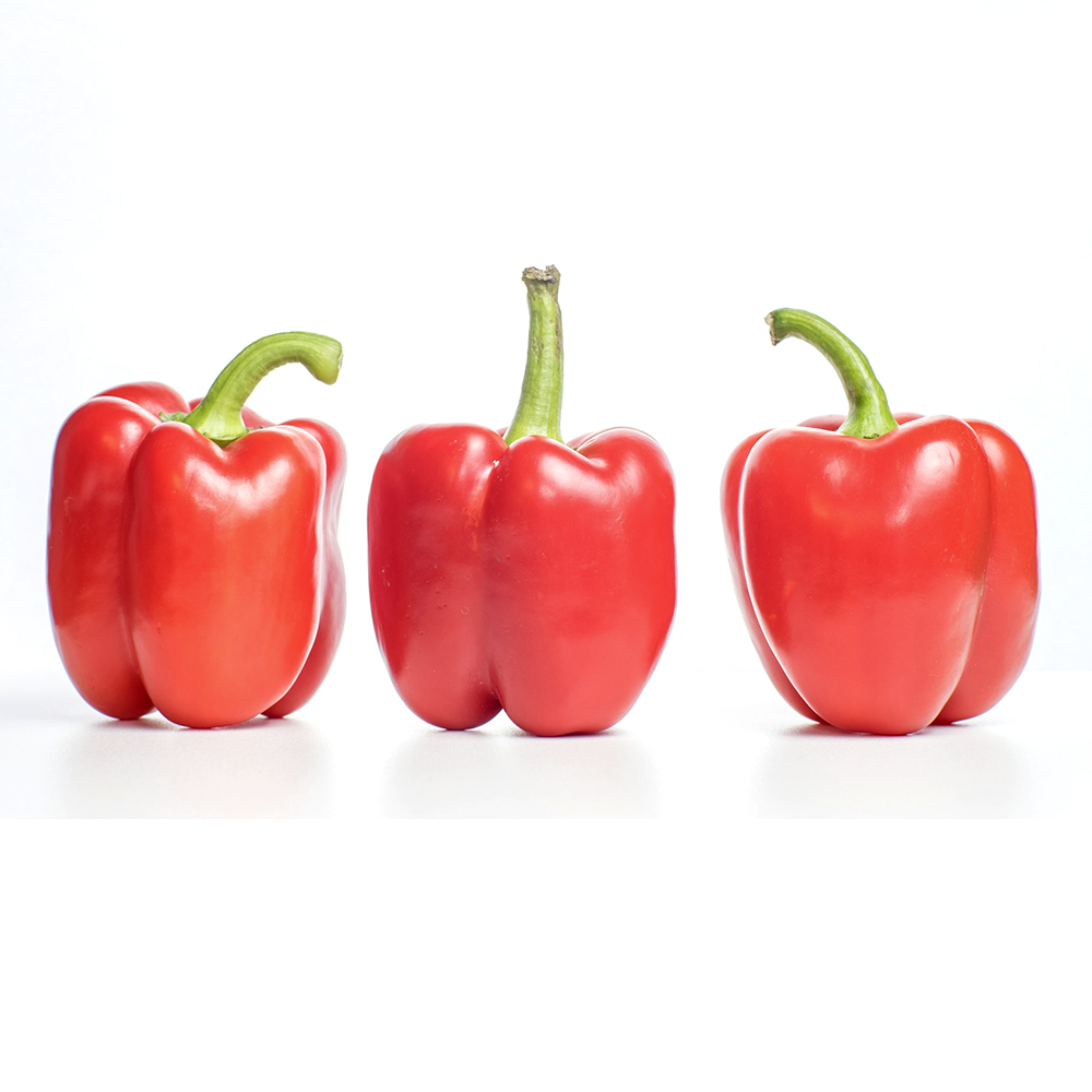 otrovato - Trading at your fingertips - B2B platform for Manufacturers ...